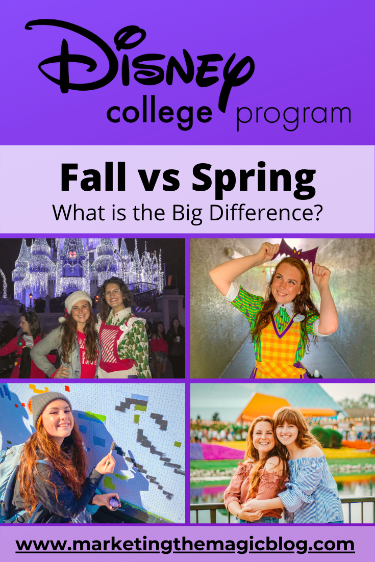 Fall vs Spring DCP – What is the Big Difference? – Marketing the Magic